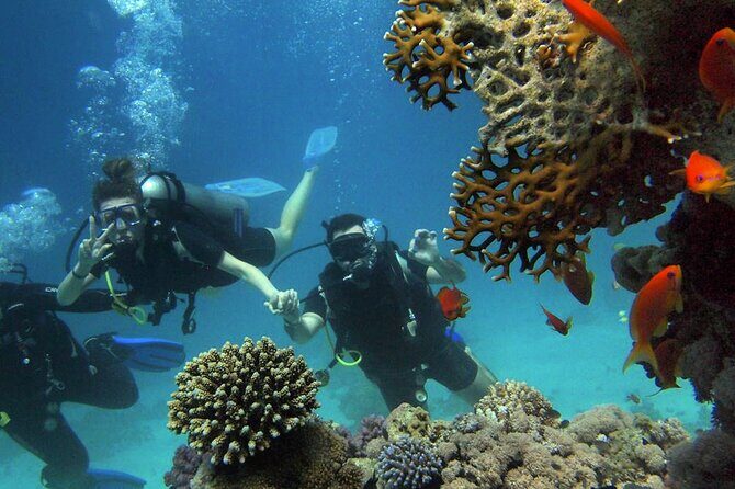 Scuba Diving Experience in Alanya With Lunch and 2 Dives - Who Is This Tour Best For?