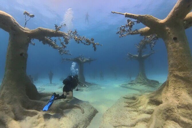 Scuba Diving Experience & MUSAN Dive + Free Edited Video 2xdives - Authentic Insights from Past Participants