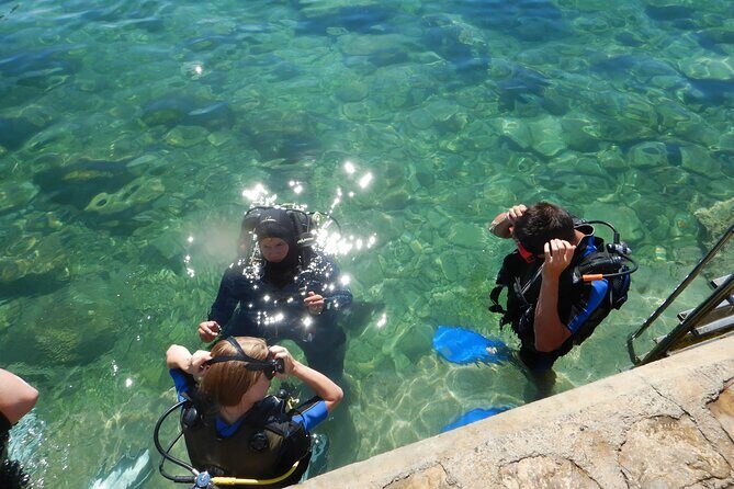 Scuba Diving for Beginners in Pula - Who Should Consider This Tour?