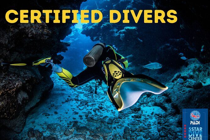 Scuba Diving for Certified Divers in Costa Adeje - The Pros of Booking This Dive Tour