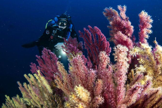 Scuba diving in Calabria, Italy - The itinerary explained