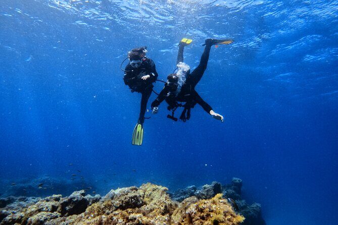 Scuba Experience in Tenerife with Guide - Why This Experience Offers Great Value
