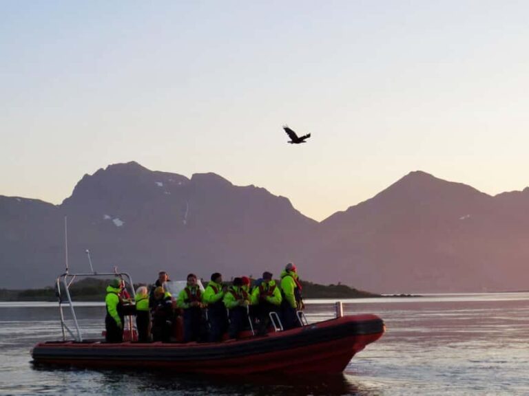 Sea Eagle/Nature Safari - Is It Worth the Price?