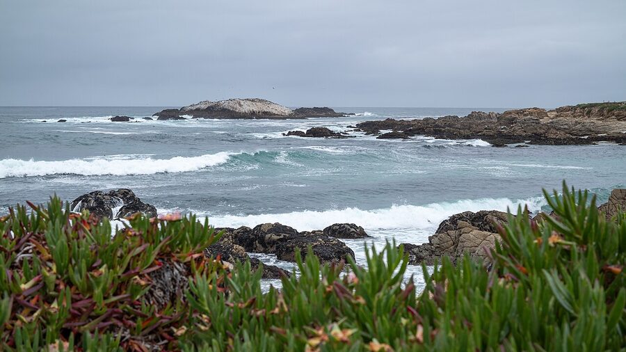 Seal Rock Overlook on the 17-Mile Drive in Monterey