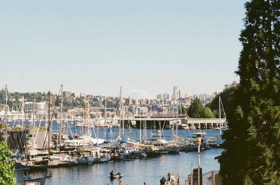 Seattle marina with sailboats and Mount Rainier in the background