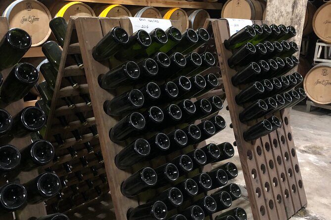 Secret Corners and Tastes of Mallorca by Private SUV Tour - Why This Tour Stands Out