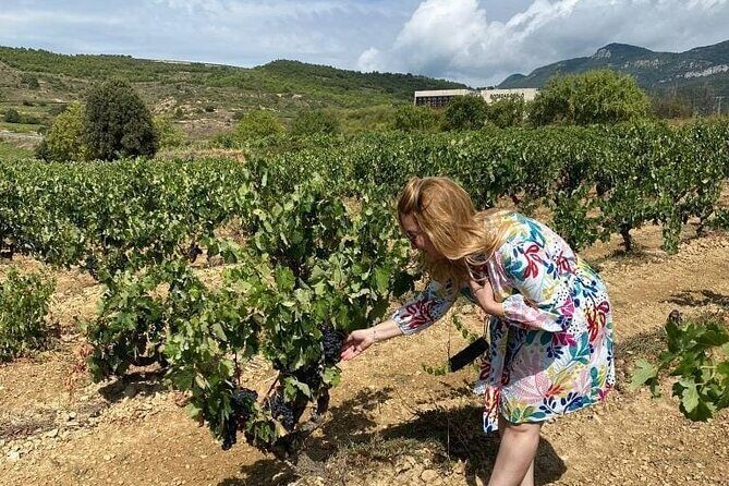 Secret Rioja: Exclusive Winery Access and Tasting Masterclass - The Itinerary in Detail
