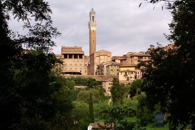 Secret Siena Walking Tour - Who Should Book This Tour?
