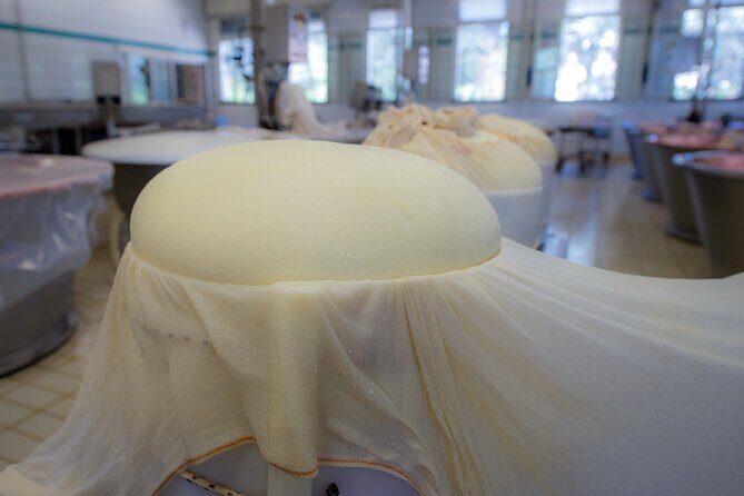 Secrets of Parmigiano Reggiano and Balsamic Vinegar - Authenticity and Quality of the Experience