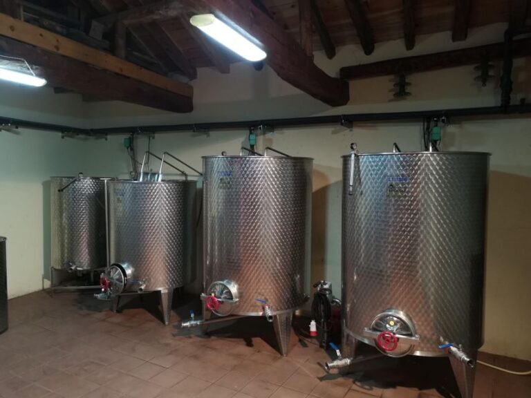 Segovia: Winery Tour with Wine Tasting - What to Expect in Detail