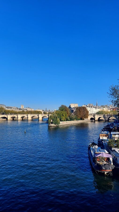 Pont Neuf and Square du Vert-Galant on the Seine in Paris