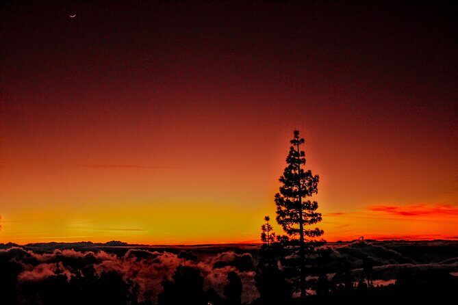 Self Drive Sunset & Stargazing in Teide National Park with Dinner - What’s Included and What’s Not?
