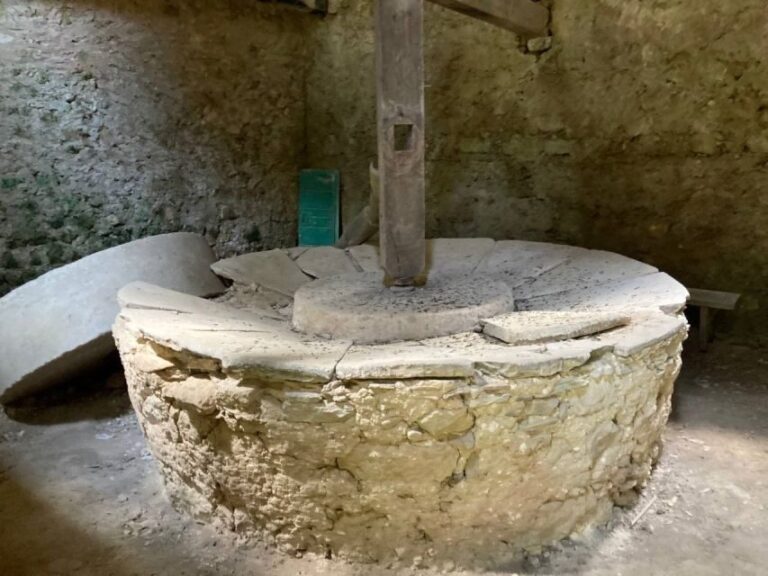 Self-guided Electric Fat Bike Tours and Rentals North Corfu - An In-Depth Look at the Experience