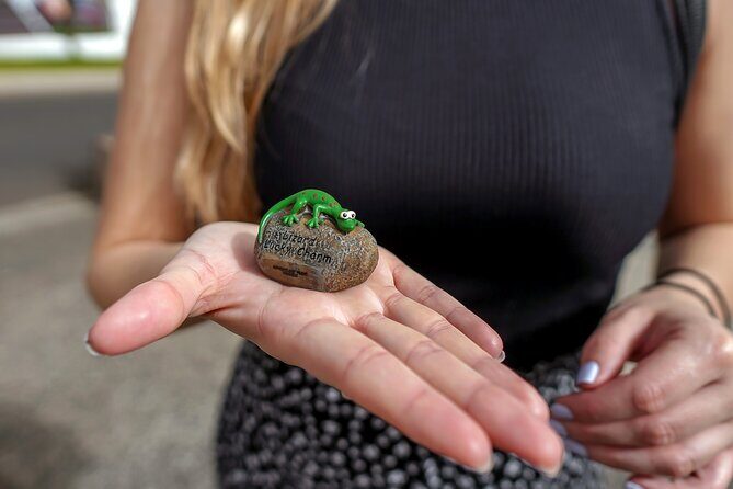 Self Guided Scavenger Hunt - Costa Adeje - Authentic Insights from Reviewers