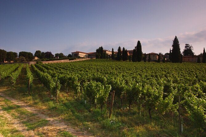 Self-guided Wine tour in Franciacorta, Full-Day Experience with Lunch - What’s Included and What’s Not