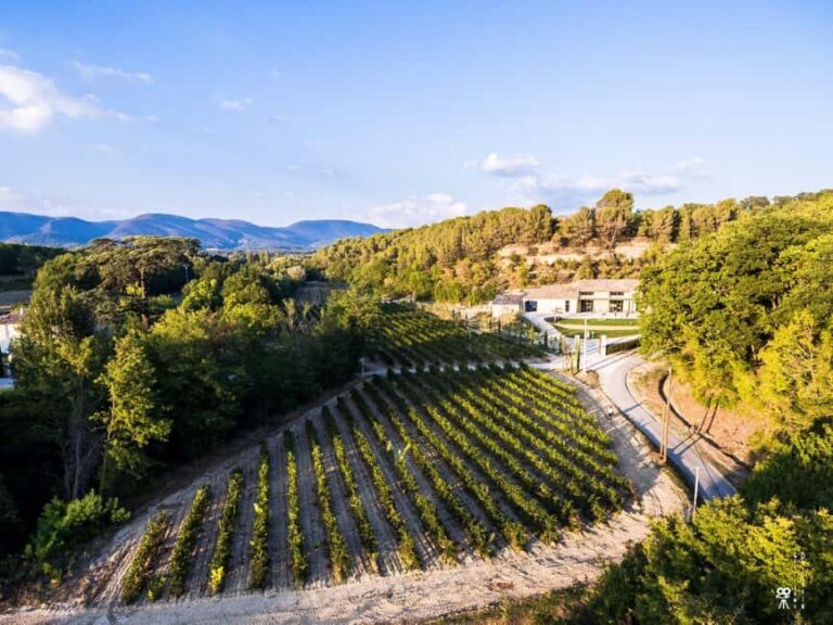 Self tour of the olive oil mill & olive oil tasting - Exploring the Olive Oil Mill Experience