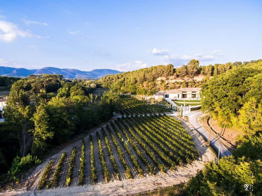 Self tour of the olive oil mill & olive oil tasting - Exploring the Olive Oil Mill Experience