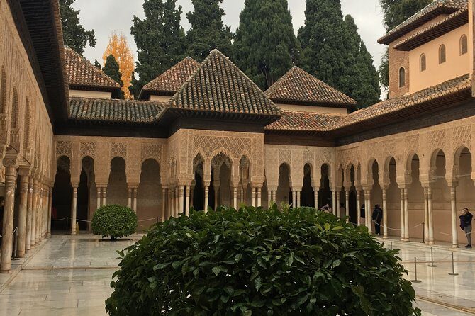 Semi Private Tour to the Alhambra from Nerja - The Experience: Why It’s Worth It