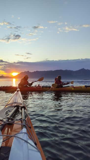 Senja: Guided Small Group Evening Kayaking Tour - The Value of the Tour