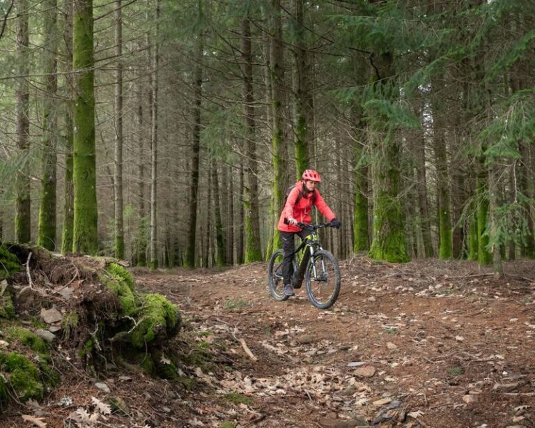 Serra da Estrela: Private E-Bike Tour with Observatory - What’s Included and What to Know