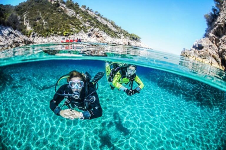 Sesimbra: First Scuba Diving Experience in the Ocean - Final Thoughts: Is This Tour Worth It?