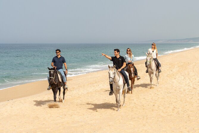 Setubal & Comporta Trip with Horseback Riding from Lisbon - A Closer Look at the Itinerary