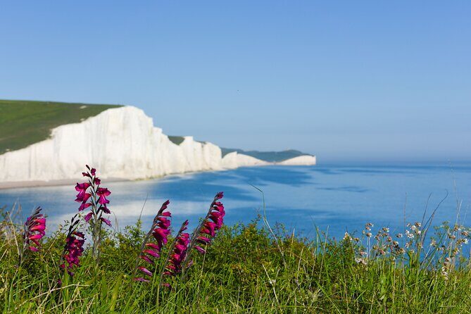 Seven Sisters and Brighton Tour with Train Tickets included - The Itinerary in Detail: What You Can Expect