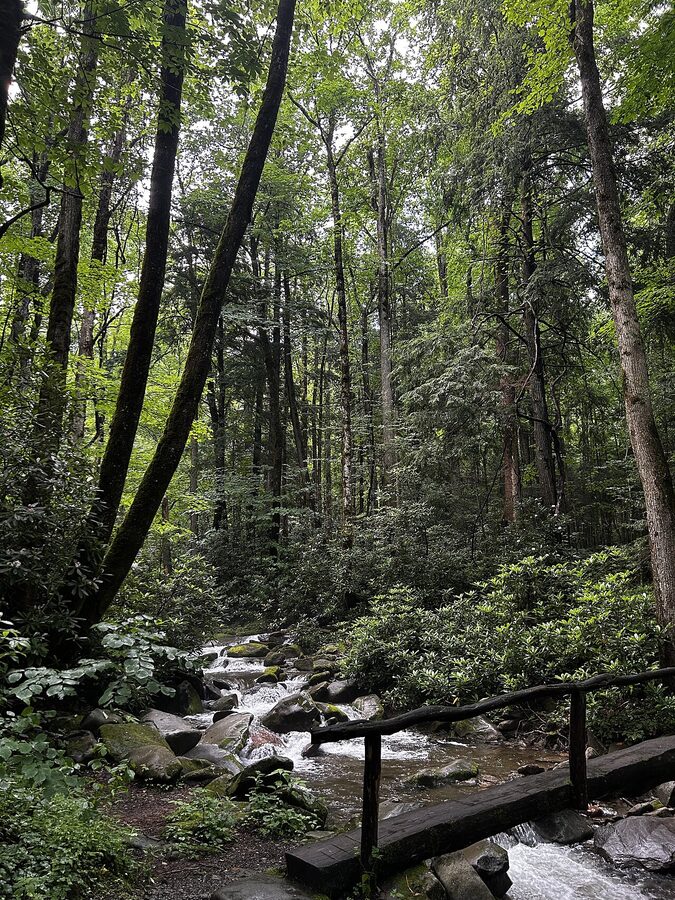 Mountain stream and wooden bridge in Great Smoky Mountains National Park
