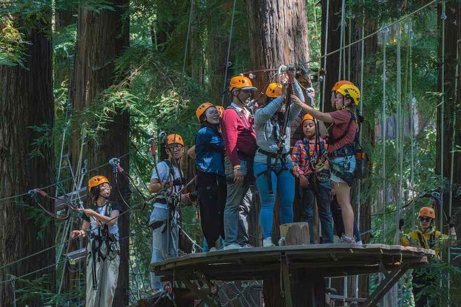 Group on a canopy zipline tour in the forest