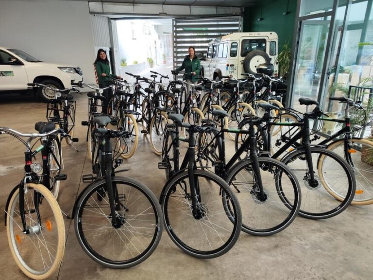 Seville: Bike Rental - Who Should Consider This Bike Rental?