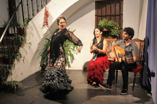 Seville: Fun class to approach Flamenco - The Value of This Flamenco Experience
