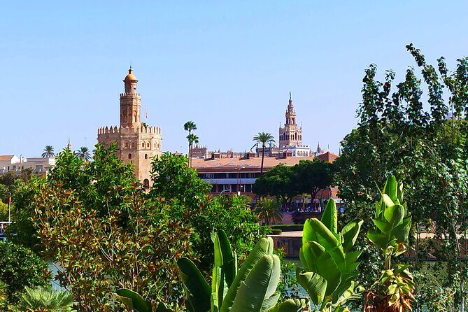 Seville Walking Tour Stories by a Local Guide - The Guide: The Heart of the Experience