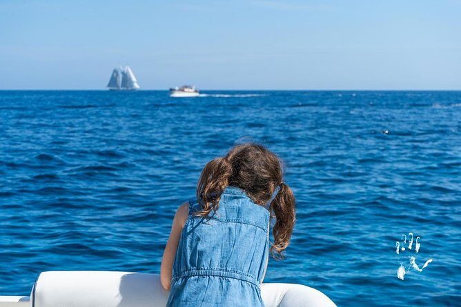 Shared Boat Excursion to Capri from Sorrento - The Itinerary in Detail