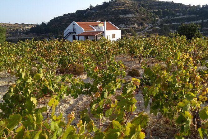 Shared Monolithos Boutique Winery Tour - What Travelers Are Saying