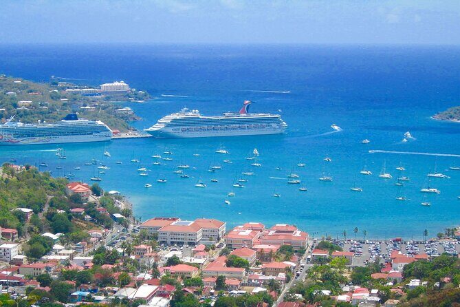 Shared Shuttle from Rome City to Civitavecchia Port - Real Insights from Travelers