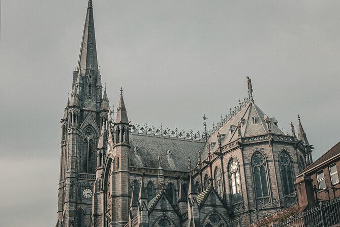 Shore Excursion from Cobh (Cork) to Blarney Castle and Kinsale - Who Should Take This Tour?