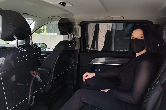 Shuttle Transfer Arrivals: Madrid Airport to City Center - Who Should Consider This Transfer?