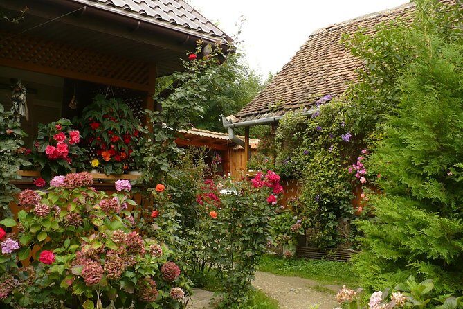 Sibiu Day Trip from Brasov - Who Will Enjoy This Tour?