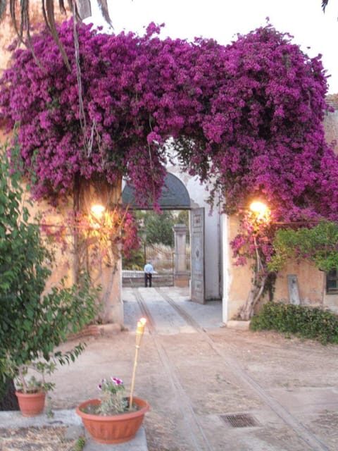 Sicilian cooking class in the historic baglio Florio Adamo - A Deep Dive into the Experience