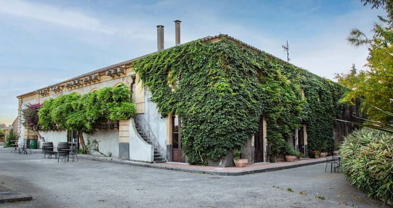 Sicilian Soul: Winery Tour, Wine & Food Tasting in Catania - An In-Depth Look at the Winery Tour in Catania