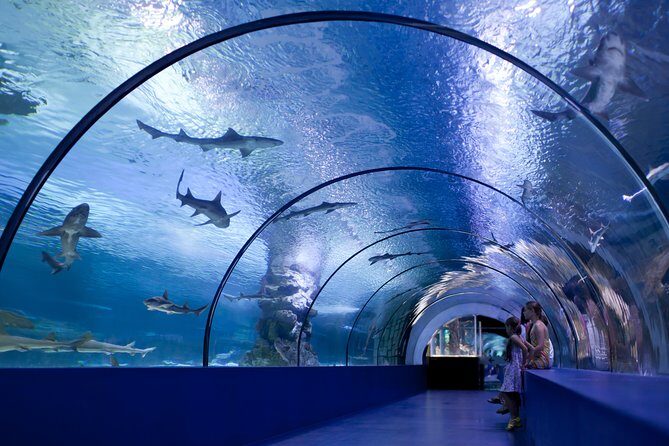 Side: Antalya Aquarium Ticket With Optional Transfer - What Makes This Tour Stand Out?