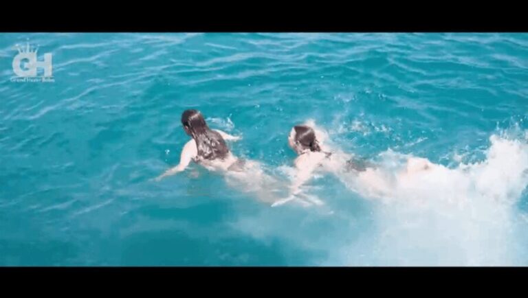 Side: Dolphin Island Boat Tour : A Seaside Adventure - Who is This Tour Best For?