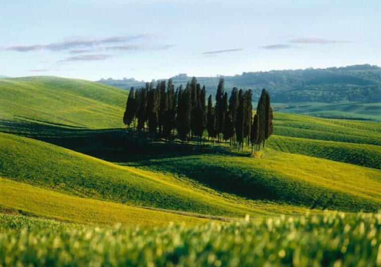 Siena: Guided visit of the city in German - Who Will Love This Tour?