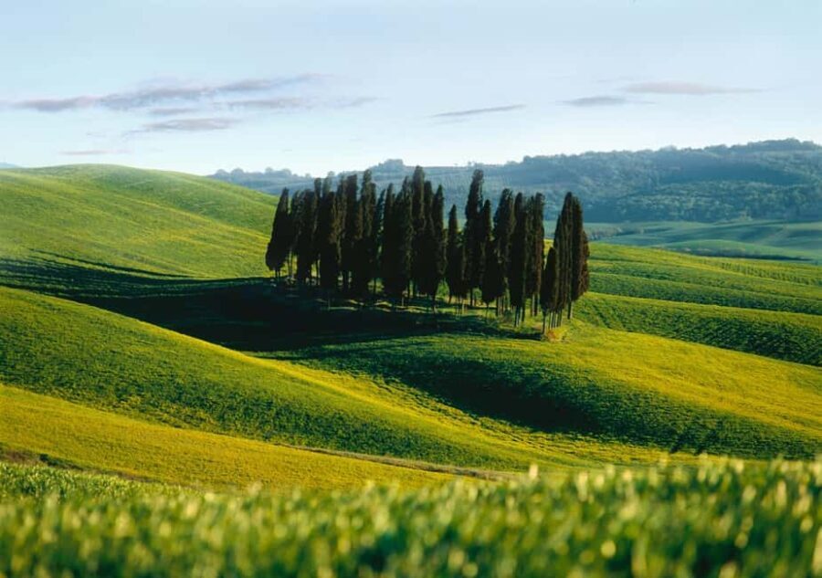 Siena: Guided visit of the city in German - Who Will Love This Tour?