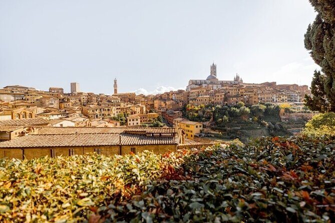 Siena Highlights Private Walking Tour With A Guide (Private Tour) - What to Expect from the Experience