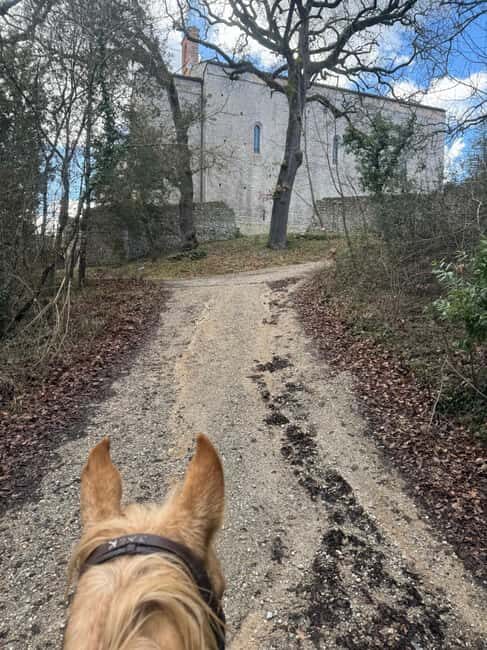 Siena: Horseback Riding on the Via Francigena - Experience Breakdown: What You Can Expect