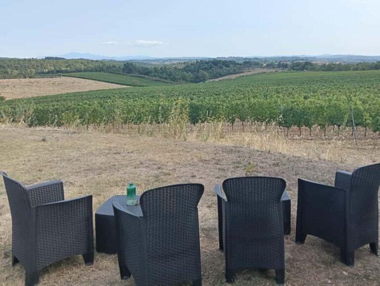 Siena: Small-group Cooking Class in a Chianti Farm - The Sum Up