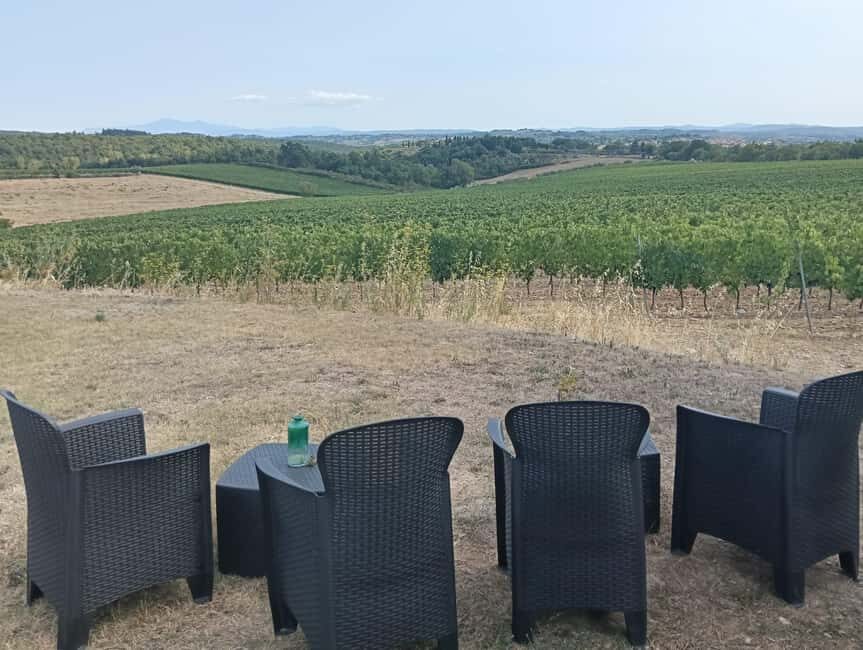 Siena: Small-group Cooking Class in a Chianti Farm - The Sum Up