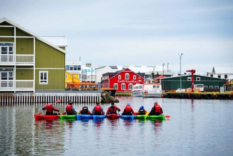 Siglufjörður / Siglufjordur: Guided kayak tour. - Final Thoughts