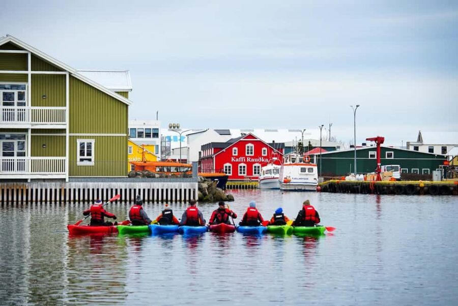 Siglufjörður / Siglufjordur: Guided kayak tour. - Final Thoughts
